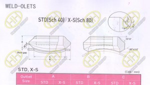 Branch connection fitting – weldolet - Haihao Pipe Fitting Factory